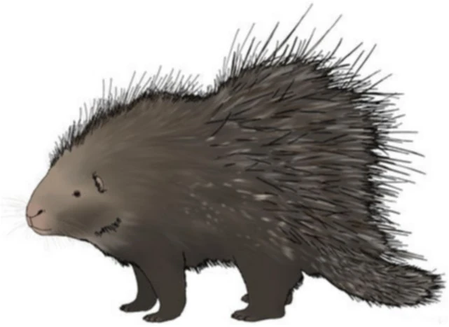 Hystrix makapanensis | SciiFii Wiki | Fandom