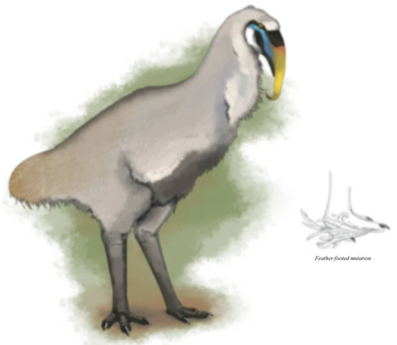 Island wumpo | SciiFii Wiki | Fandom