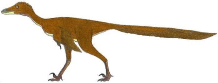 Stenonychosaurus | SciiFii Wiki | Fandom