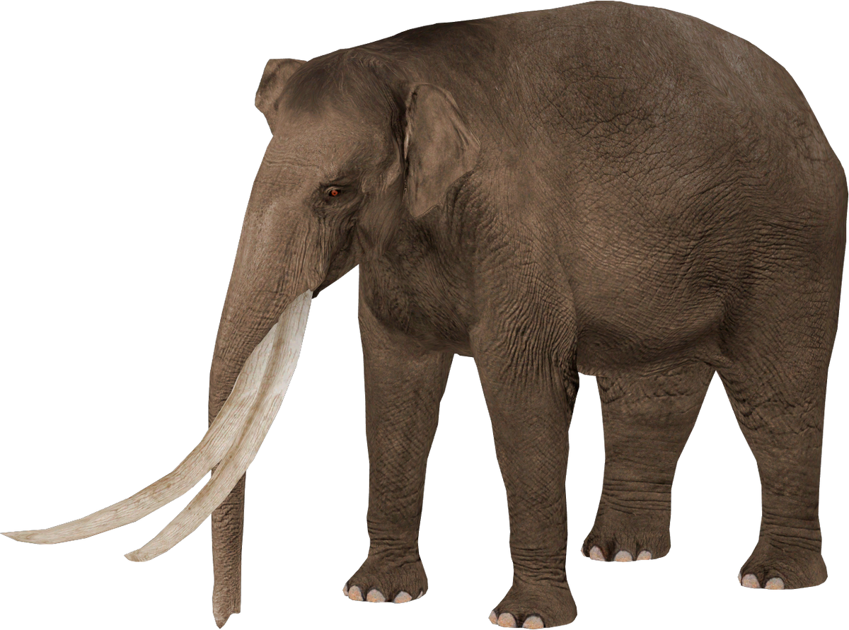 Stegodon | SciiFii Wiki | Fandom