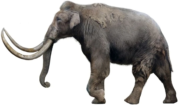 Steppe mammoth | SciiFii Wiki | Fandom