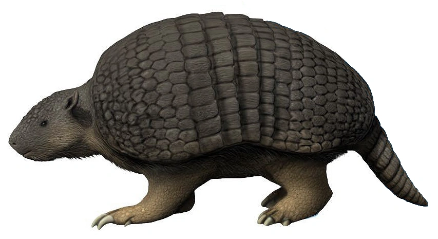 Holmesina | SciiFii Wiki | Fandom