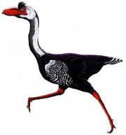 Paracrax | SciiFii Wiki | Fandom