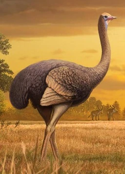 Pachystruthio | SciiFii Wiki | Fandom