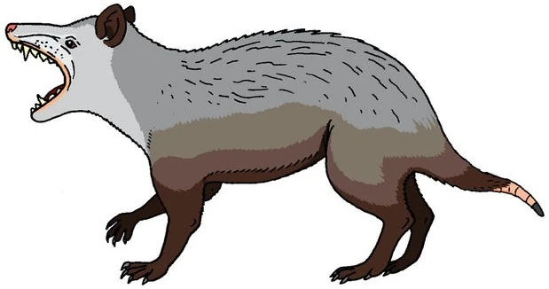 Hyaena opossum | SciiFii Wiki | Fandom