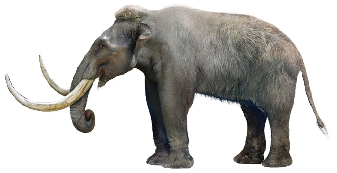 Pygmy mammoth | SciiFii Wiki | Fandom