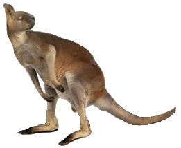 Sthenurus | SciiFii Wiki | Fandom