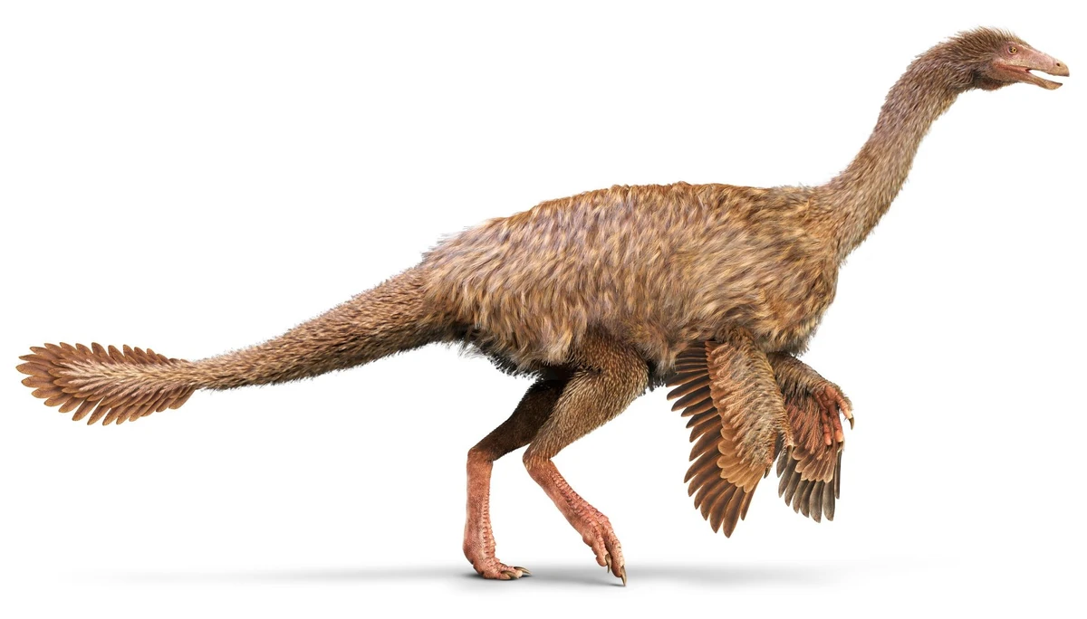 Gallimimus | SciiFii Wiki | Fandom