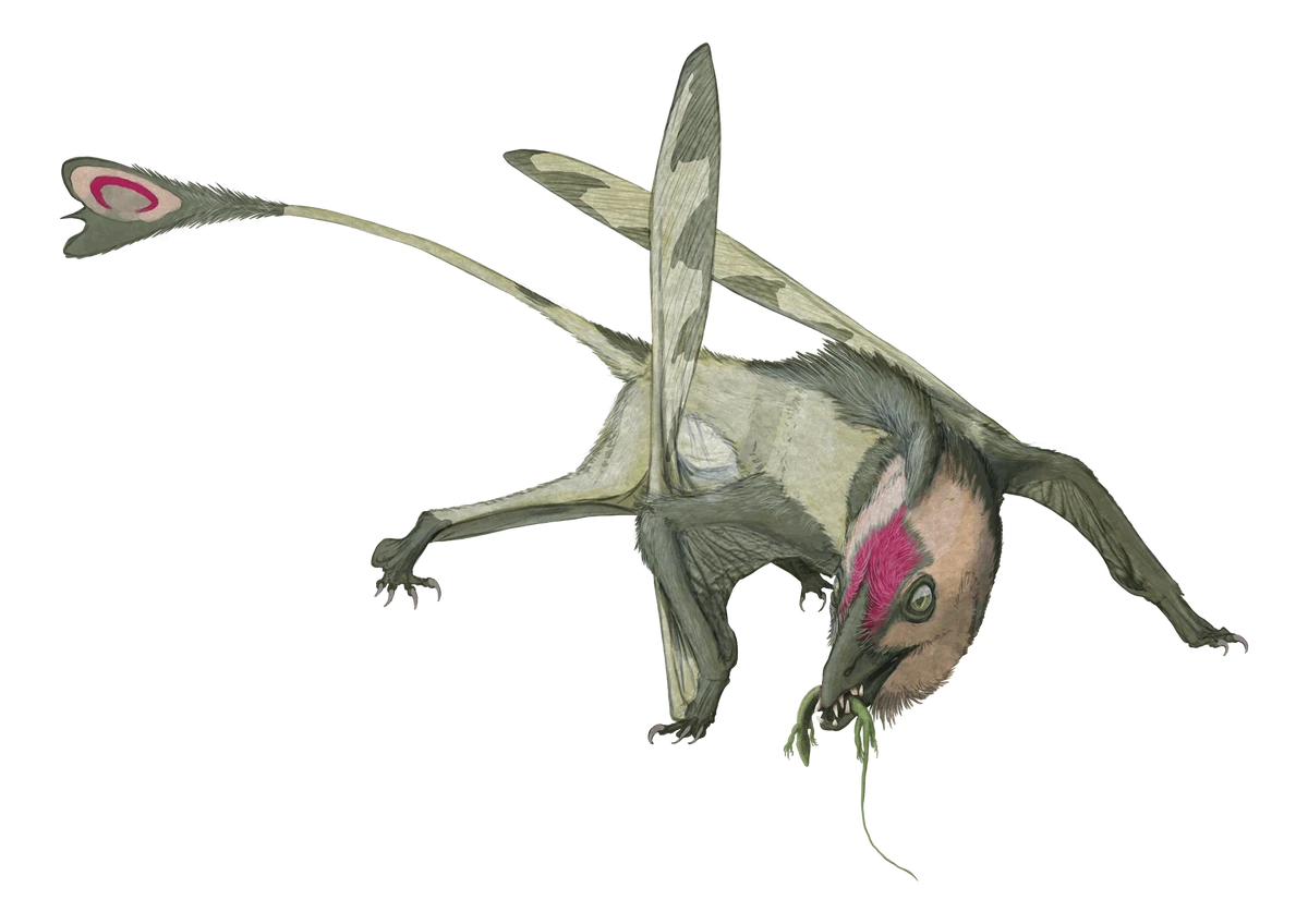 Carniadactylus | SciiFii Wiki | Fandom