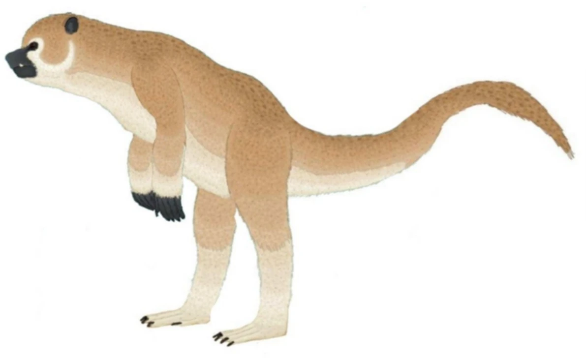 Raboon | SciiFii Wiki | Fandom