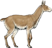 Arctic rabbuck | SciiFii Wiki | Fandom