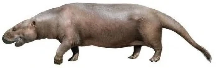 Pezosiren | SciiFii Wiki | Fandom