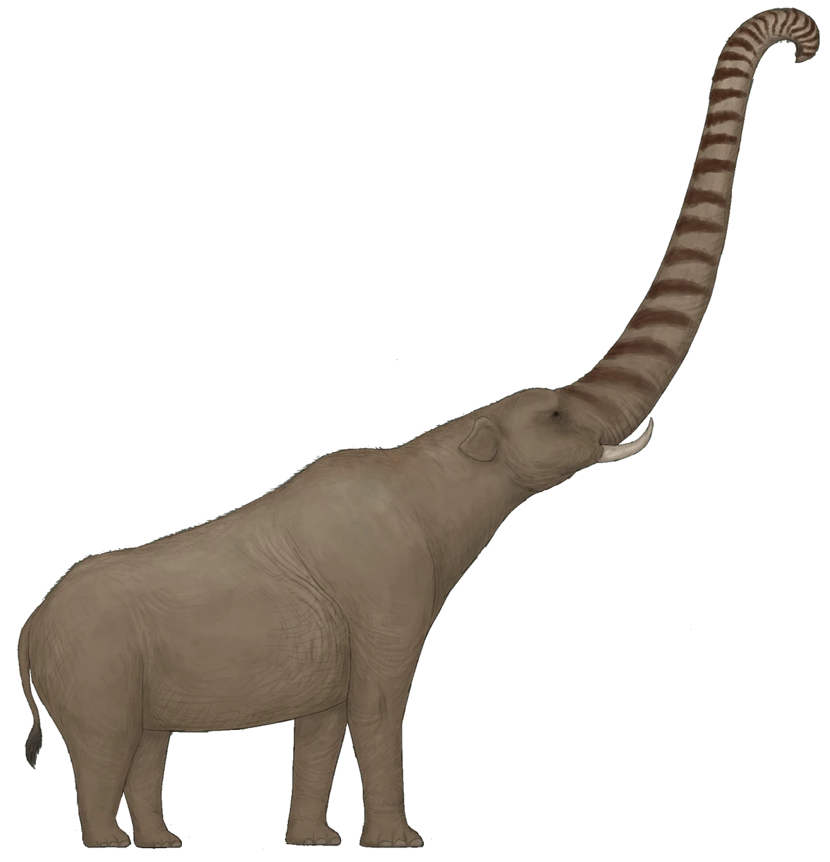 Giraffe elephant | SciiFii Wiki | Fandom