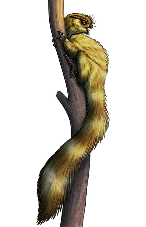 Australian false lemur | SciiFii Wiki | Fandom