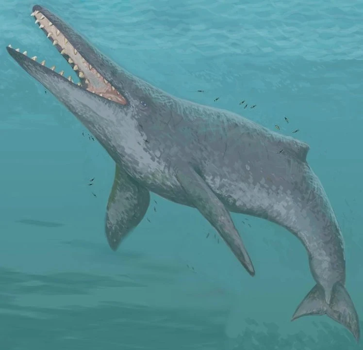 Inticetus | SciiFii Wiki | Fandom