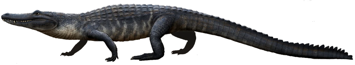 Brachychampsa | SciiFii Wiki | Fandom