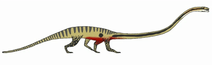 Dinocephalosaurus | SciiFii Wiki | Fandom
