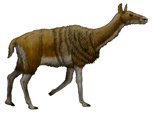 Palaeolama | SciiFii Wiki | Fandom