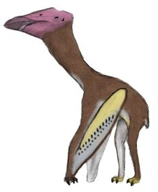 Flarp | SciiFii Wiki | Fandom