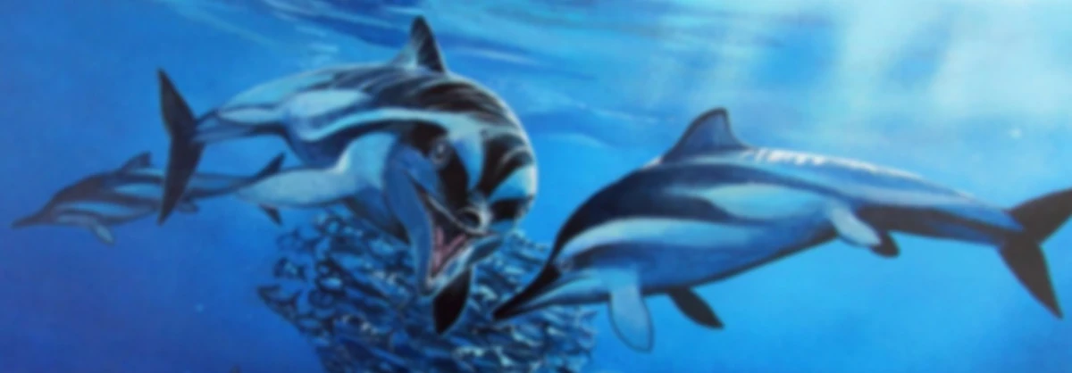 Ichthyosaurus | SciiFii Wiki | Fandom