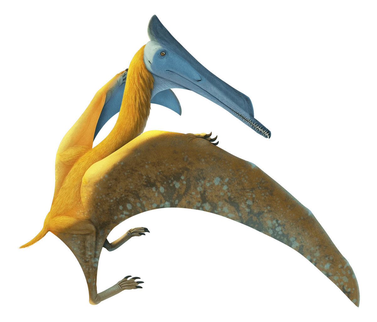 Elanodactylus | SciiFii Wiki | Fandom