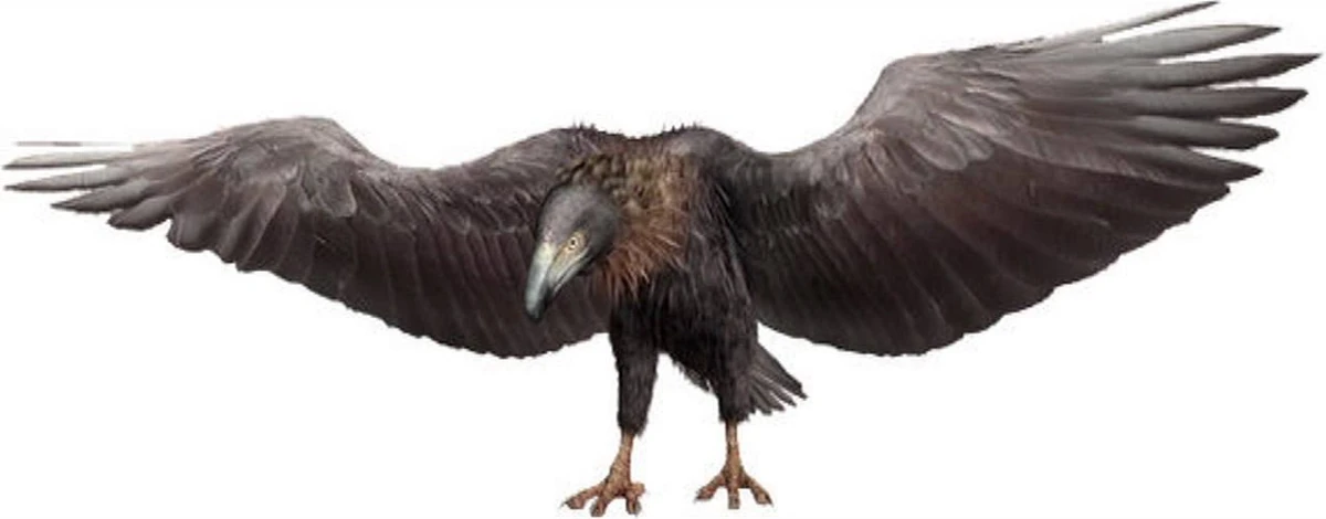 Argentavis | SciiFii Wiki | Fandom