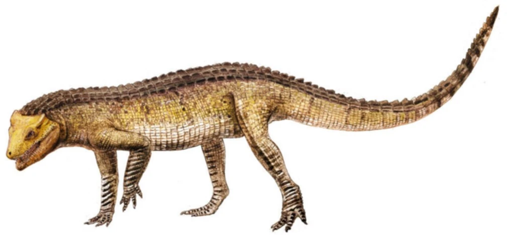 Libycosuchus | SciiFii Wiki | Fandom