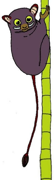 False tarsier | SciiFii Wiki | Fandom