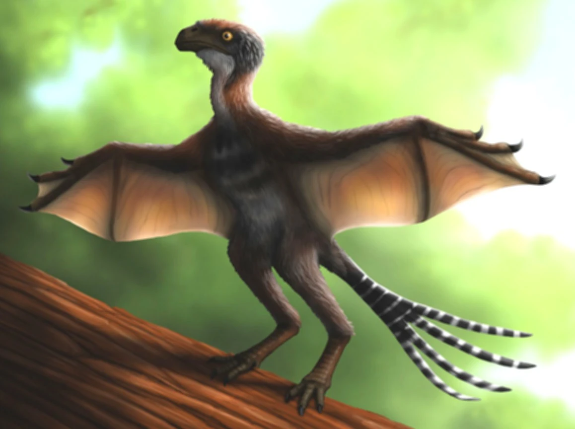 Ambopteryx | SciiFii Wiki | Fandom