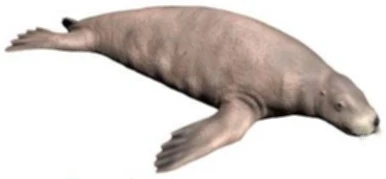 Dusignathus | SciiFii Wiki | Fandom