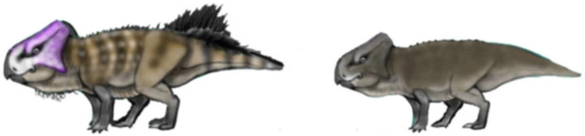 Microceratus | SciiFii Wiki | Fandom