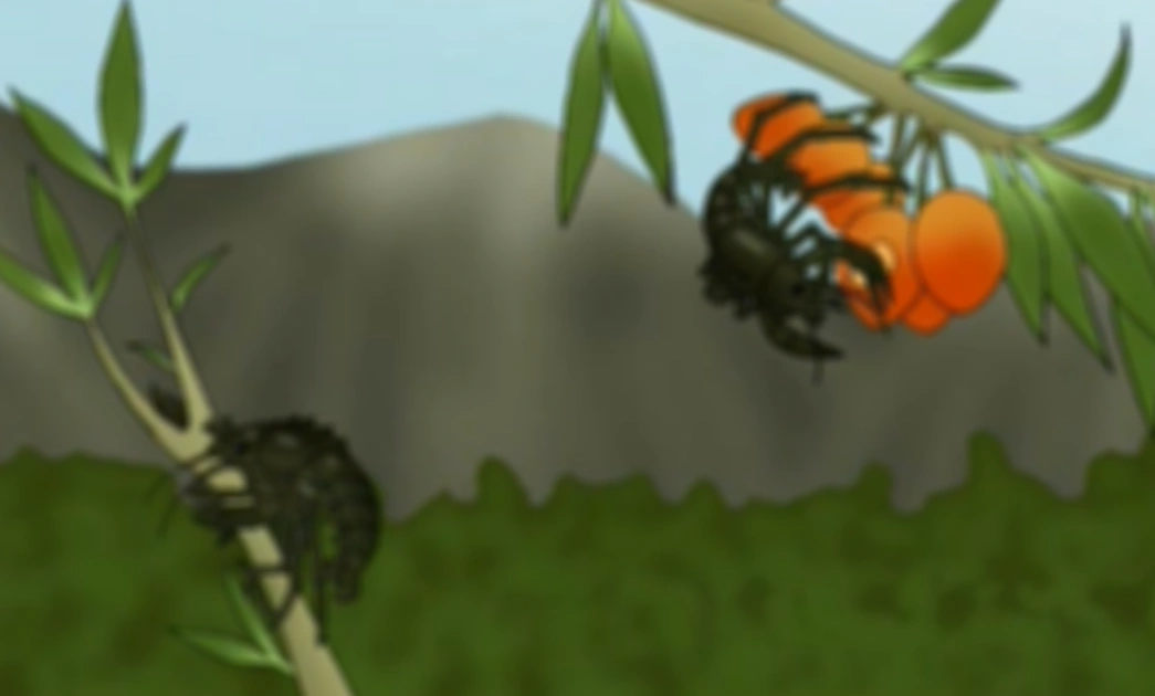 Tree crayfish | SciiFii Wiki | Fandom