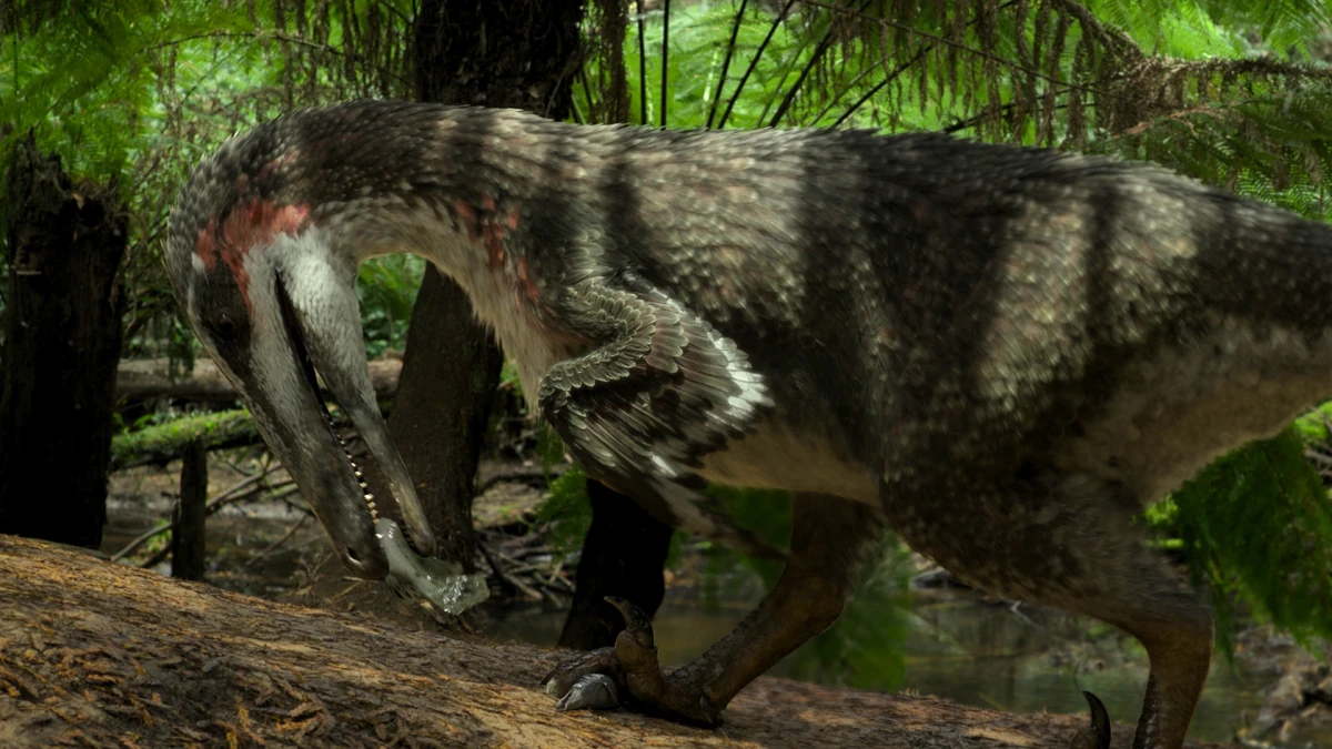 Austroraptor Cabazai