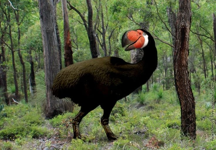 Bullockornis | SciiFii Wiki | Fandom