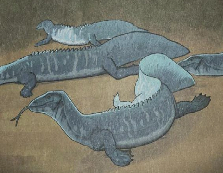 Buru | SciiFii Wiki | Fandom