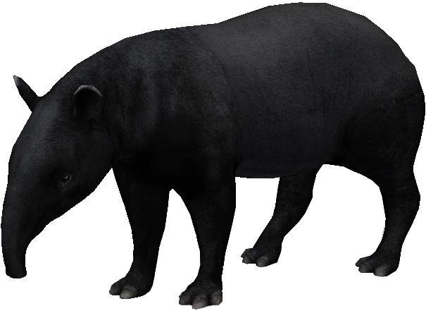 Giant tapir | SciiFii Wiki | Fandom