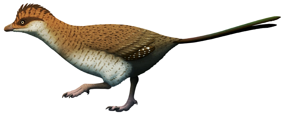 Elsornis | SciiFii Wiki | Fandom