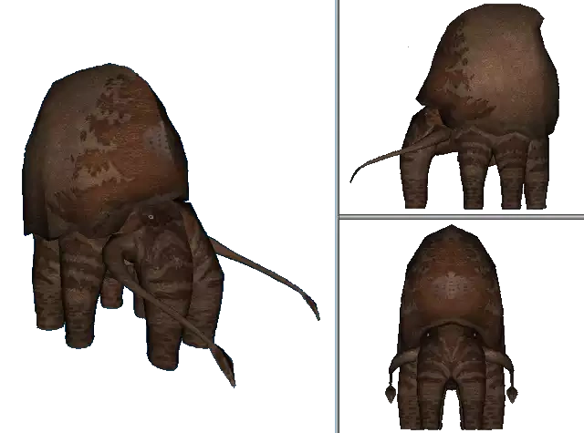 Megasquid | SciiFii Wiki | Fandom