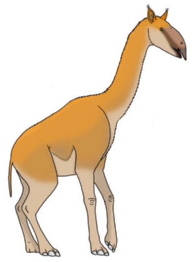 Giraffe narigrande | SciiFii Wiki | Fandom