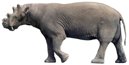 Uintatherium | SciiFii Wiki | Fandom