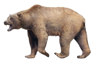 Agriotherium | SciiFii Wiki | Fandom
