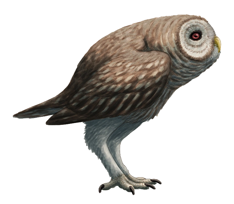 Mothman | SciiFii Wiki | Fandom