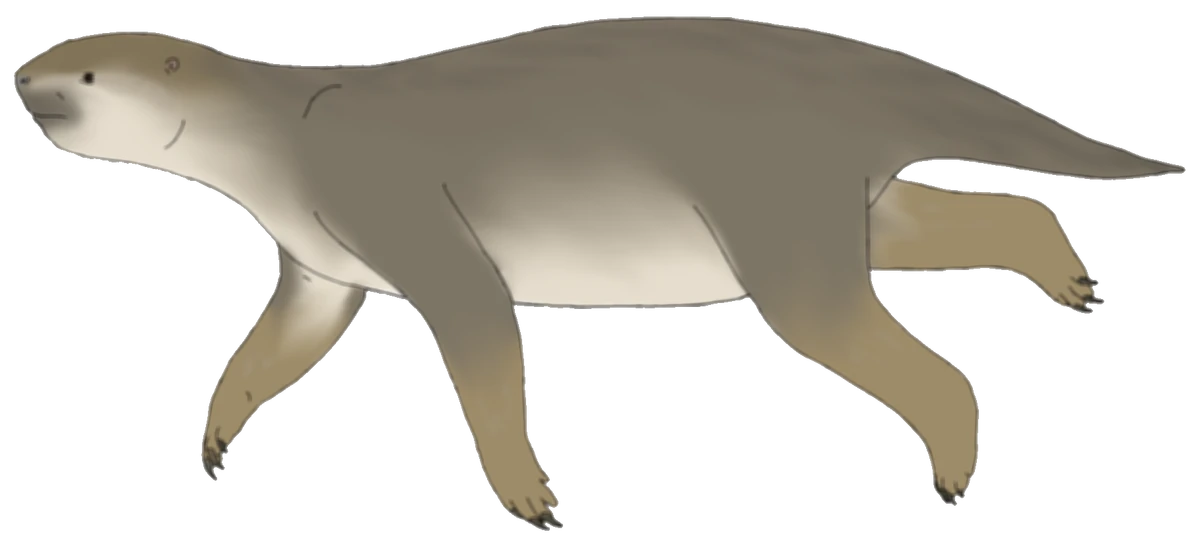 Ahytherium | SciiFii Wiki | Fandom