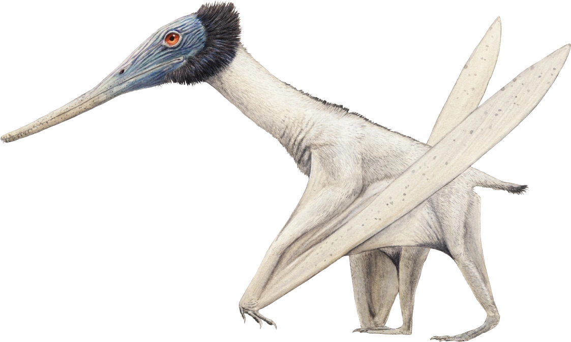 Gladocephaloideus | SciiFii Wiki | Fandom