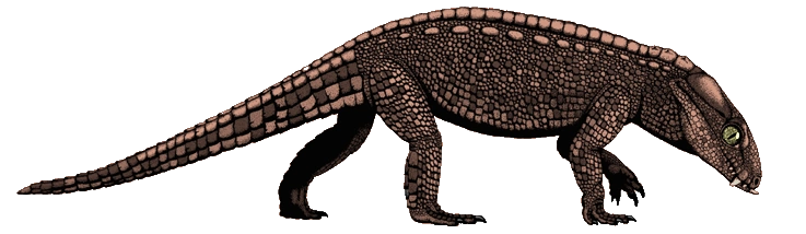 Mariliasuchus | SciiFii Wiki | Fandom