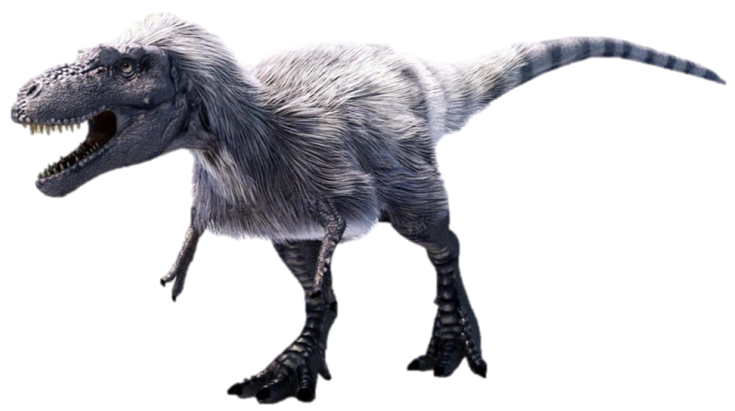 Albertosaurus | SciiFii Wiki | Fandom