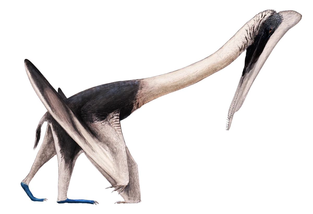 Feilongus | SciiFii Wiki | Fandom