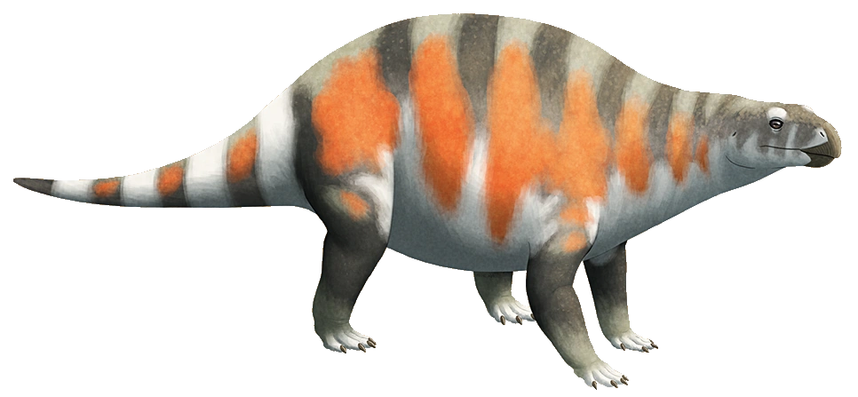 Lotosaurus | SciiFii Wiki | Fandom
