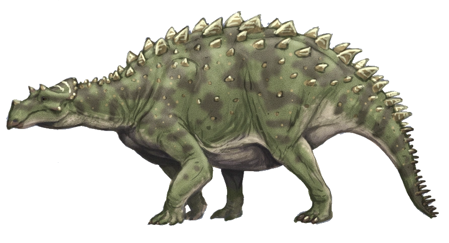 Stegoceratops | SciiFii Wiki | Fandom