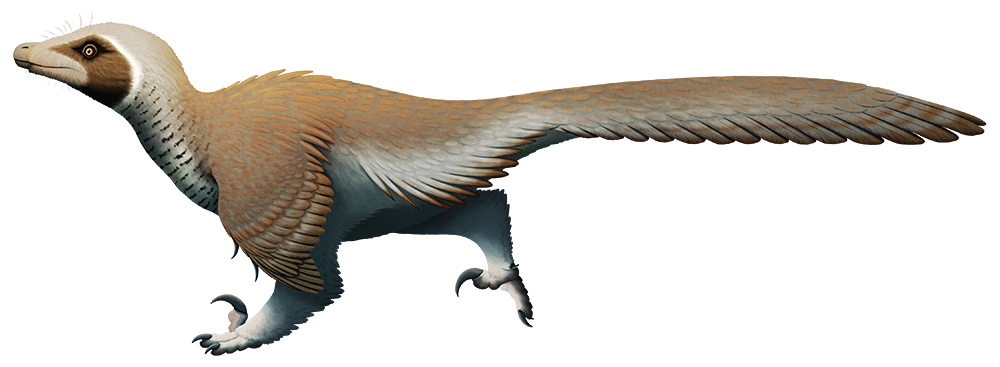 Chinese ghoul | SciiFii Wiki | Fandom